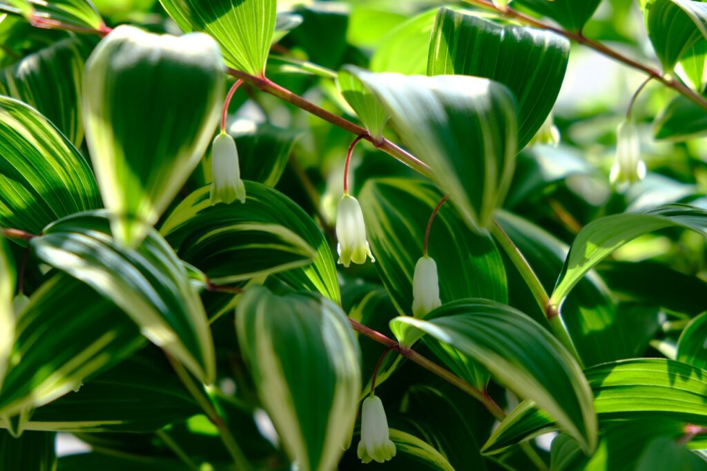 新年度スタート | ナルコ薬品株式会社